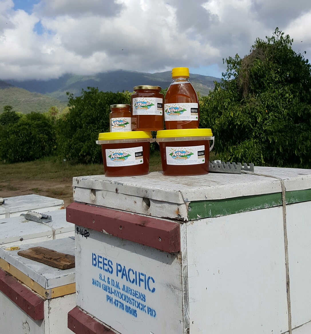 Latest News about the Achacha Tropical Fruit Plantation