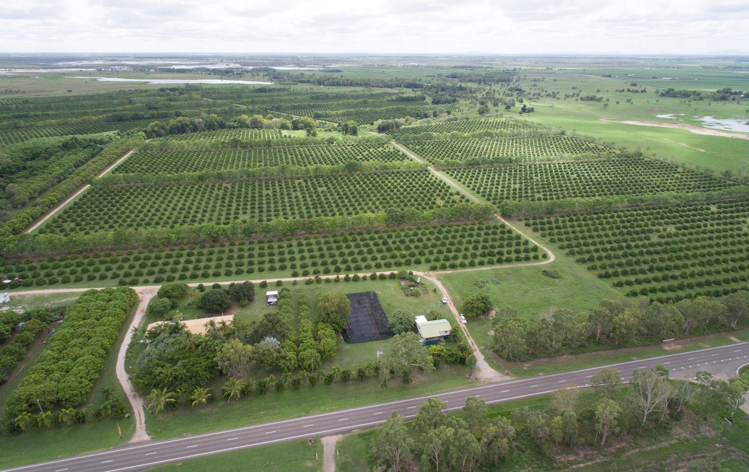 Welcome to the world’s first and largest Achacha Tropical Fruit Plantation